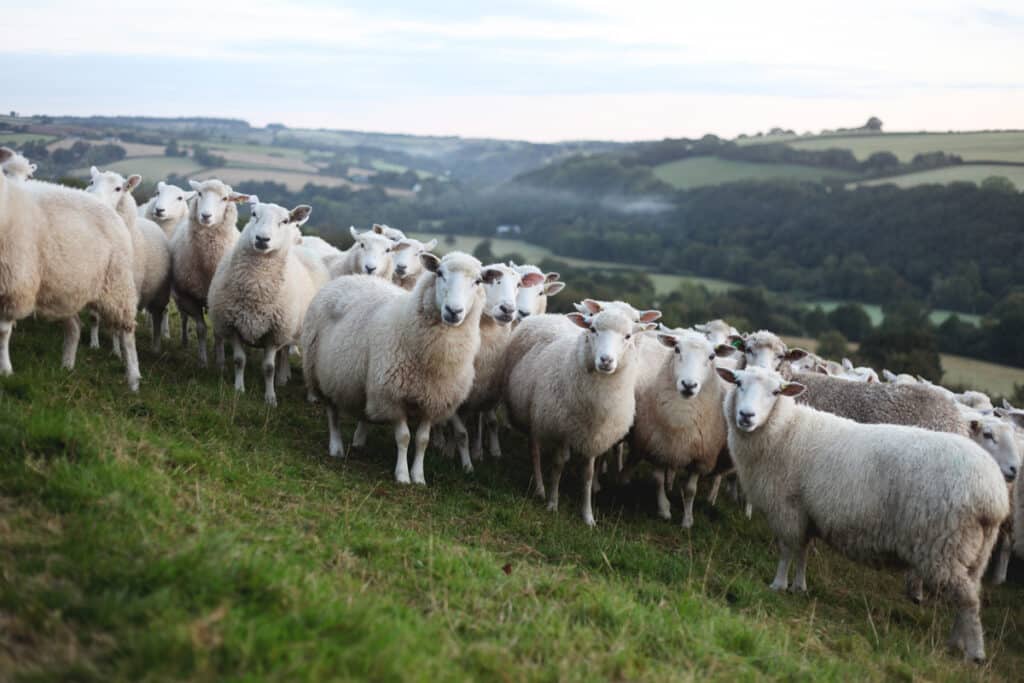 Our Partners - Rudholm Group’s Leading Apparel Solutions